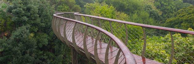 Sensational Winding Tree Canopy Walkway - Land8