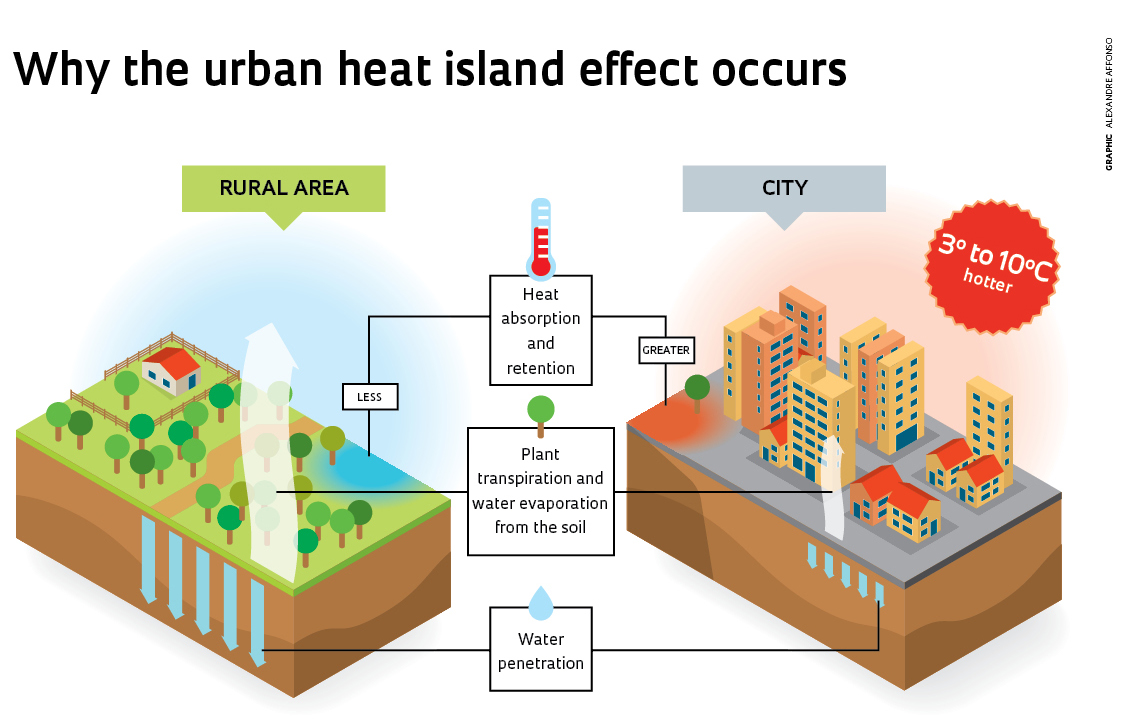 How Landscape Architecture Mitigates The Urban Heat Island Effect Land8
